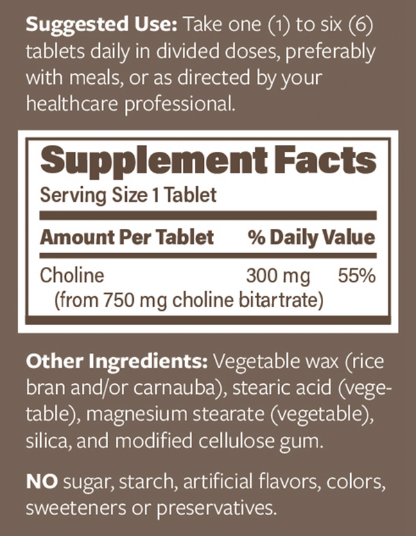Choline Sustained Release Dietary Supplement 300mg - Endurance Products ...